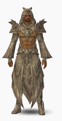 Argos Soft - Guild Wars 2 Armor Gallery